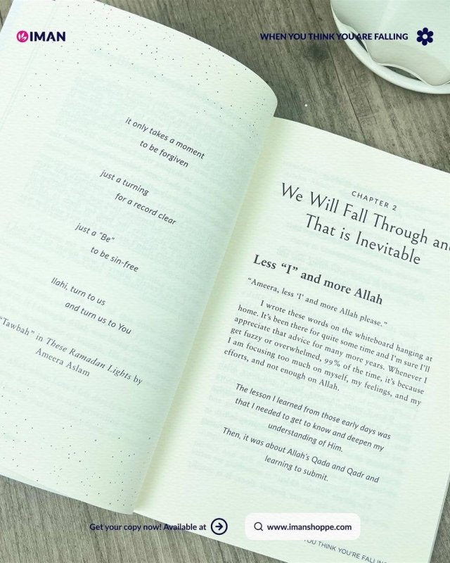 When You Think You're Falling: Holding on to God's Mercy to Keep Going – IMAN Shoppe Bookstore